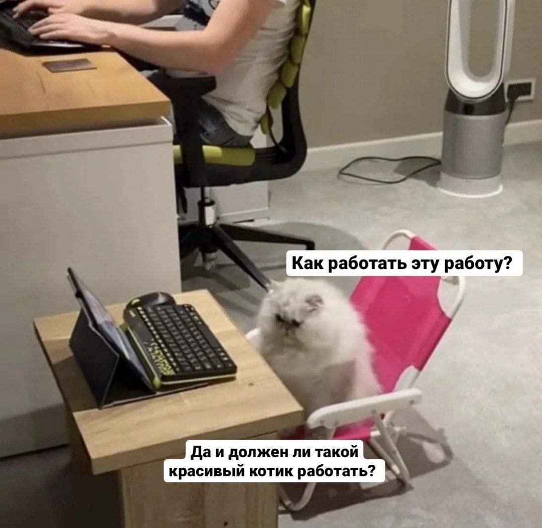 30 мемов про работу и офис — на любой случай в чате | Цех